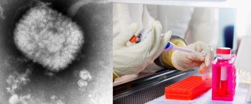 Marcus Oscarsson | Analyser, kommentarer & nyheter