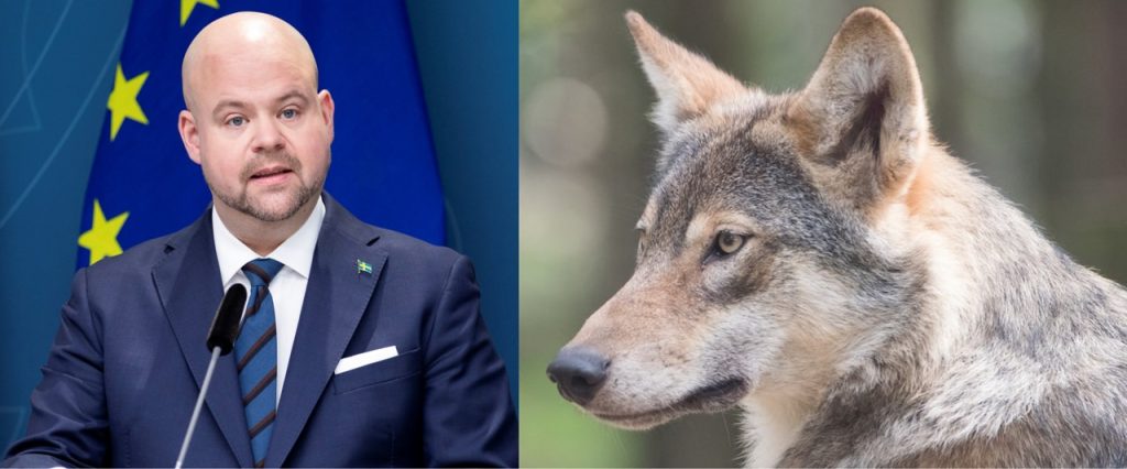 Landsbygdsministern ryter ifrån: “Olämpligt husdjur” | Marcus Oscarsson