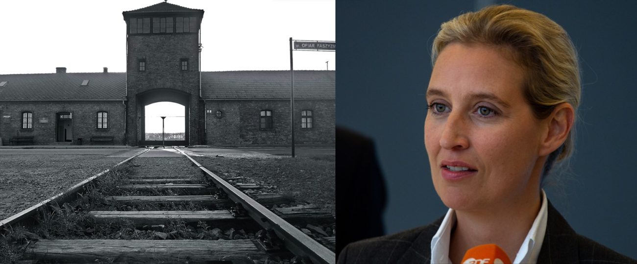 Tysk partiledare uttalar sig om Förintelsen – väcker starka reaktioner ...