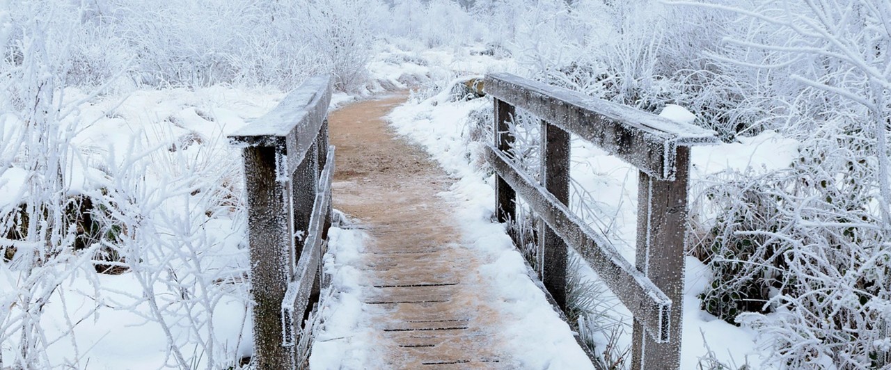 OVANLIGT VINTERBESKED: Helt nytt fenomen i Sverige | Marcus Oscarsson